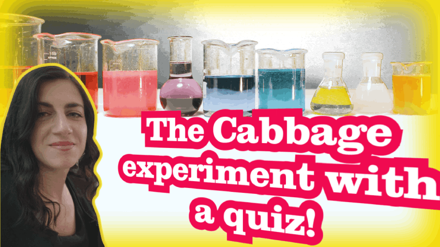 The cabbage experiment - operachem