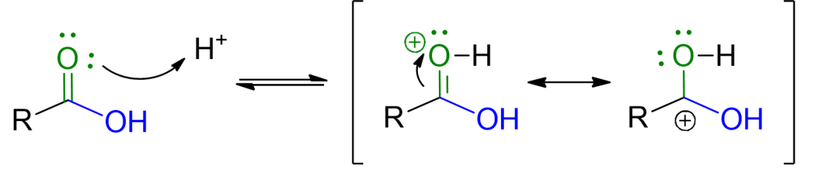Formation of Esters - operachem