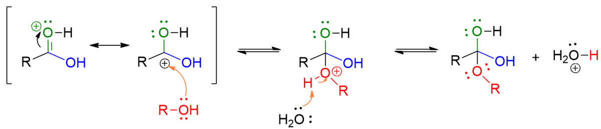 Formazione degli esteri - operachem