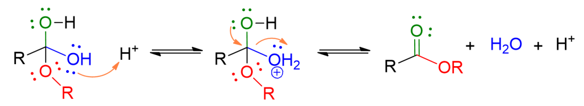 Formation of Esters - operachem