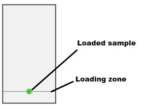 TLC-Thin Layer Chromatography - operachem