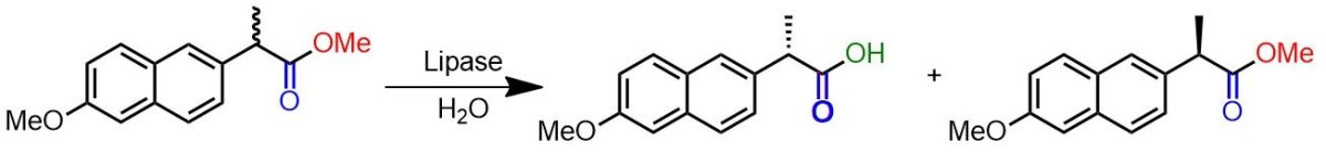 Saponification-Typical procedures - operachem