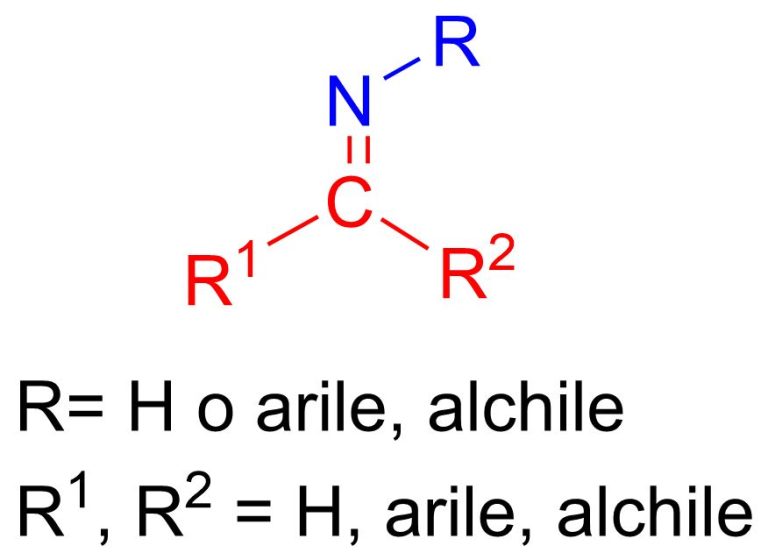 Formazione delle immine - operachem