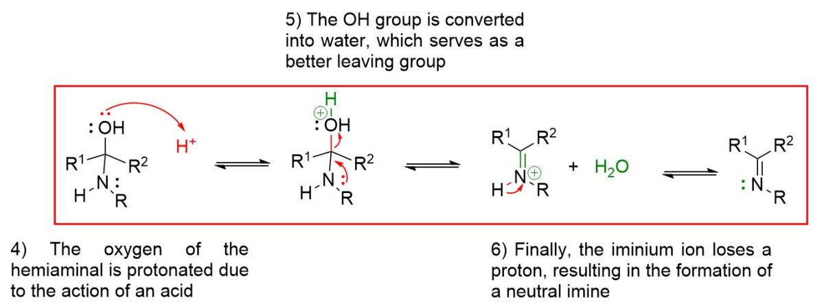 Imines formation - operachem