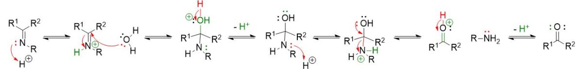 Imines formation - operachem