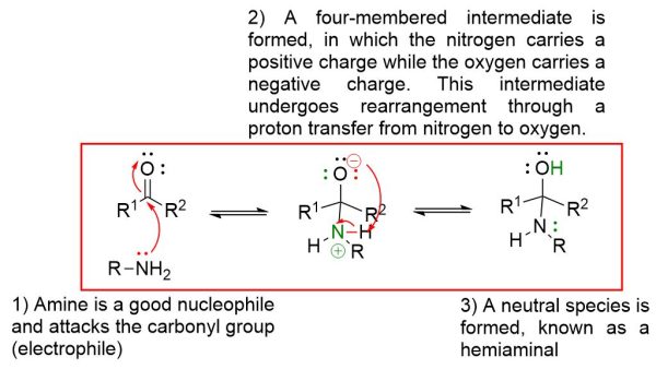 Imines formation - operachem