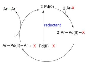 Homocoupling reactions of aryl halides-Typical procedures with Cu, Ni ...